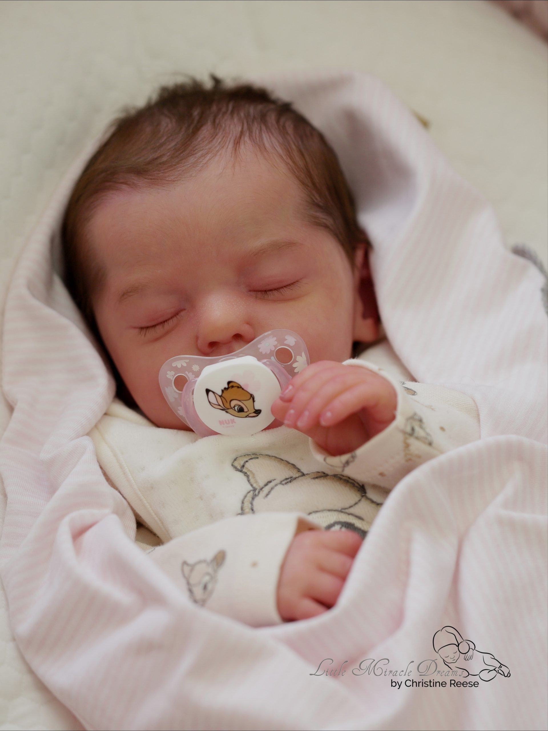 Little Miracle Dreams - Professional Reborn artist Christine Reese